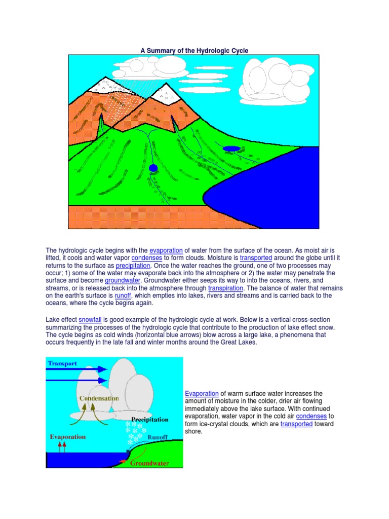 The Hydrologic Cycle Explained | PDF | Water Cycle | El Niño