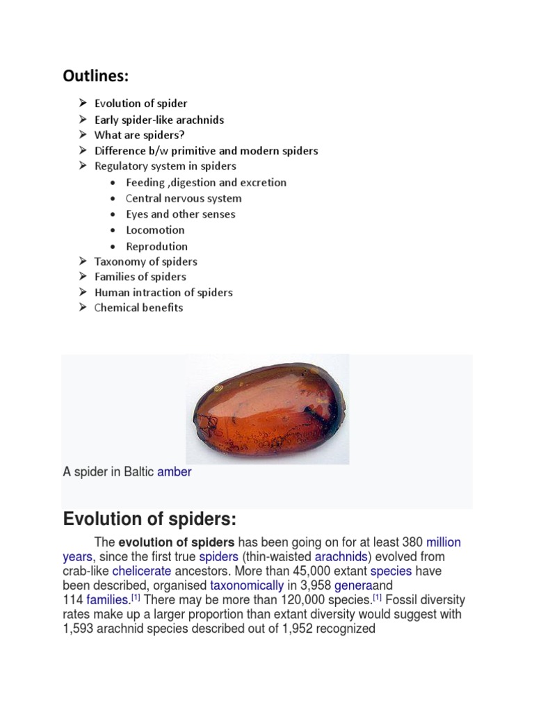 Evolution of Spiders | PDF | Spider | Eye