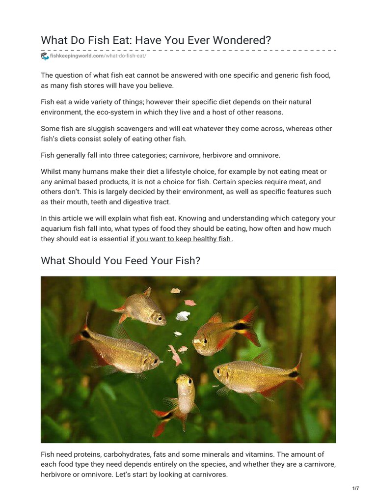 Understanding What Fish Eat: A Comprehensive Guide to Fish Diets Based ...