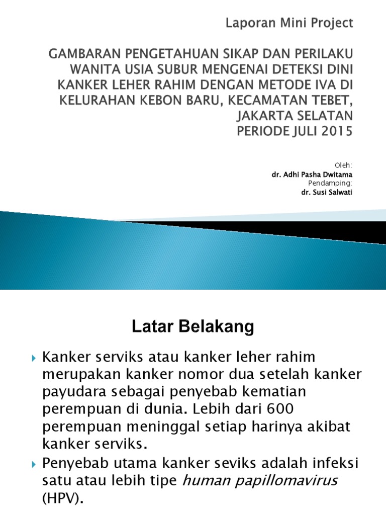 Laporan Mini Project Iva | PDF