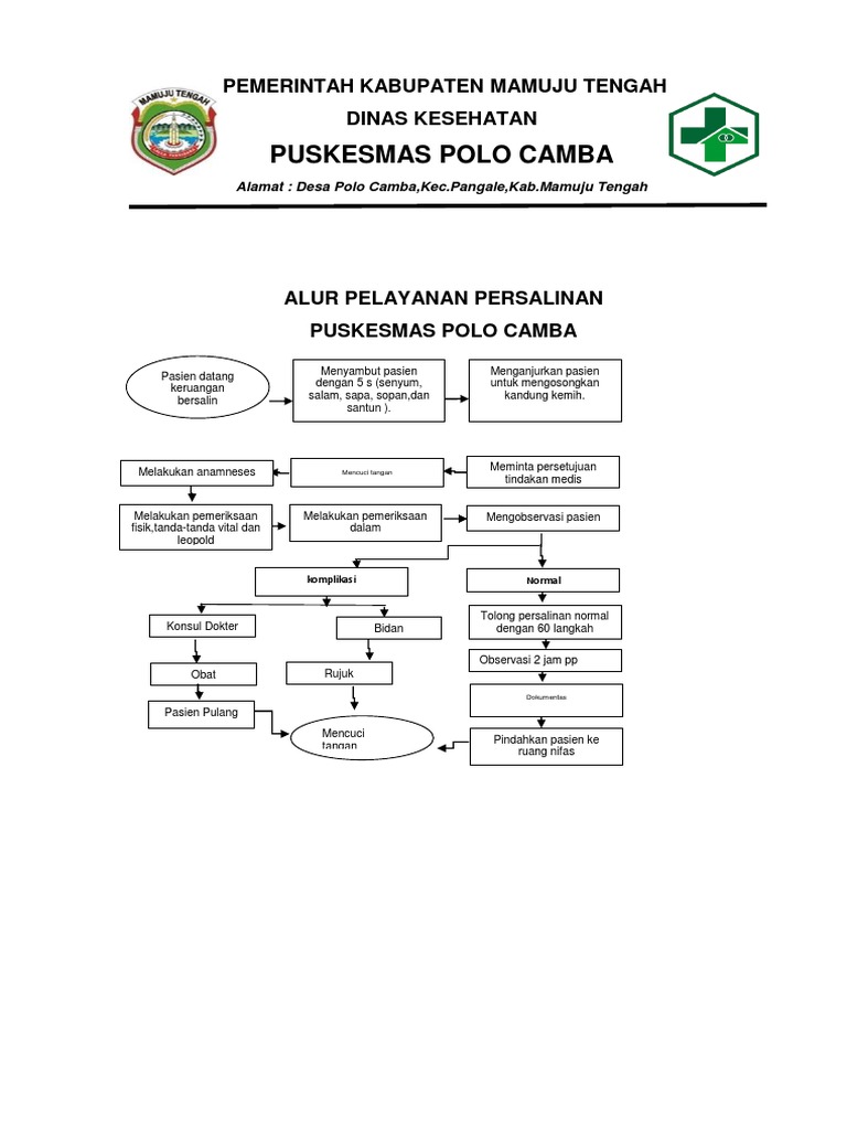 Alur Persalinan | PDF