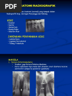 Interpretasi Hasil Foto Rontgen Anatomi Normal | PDF