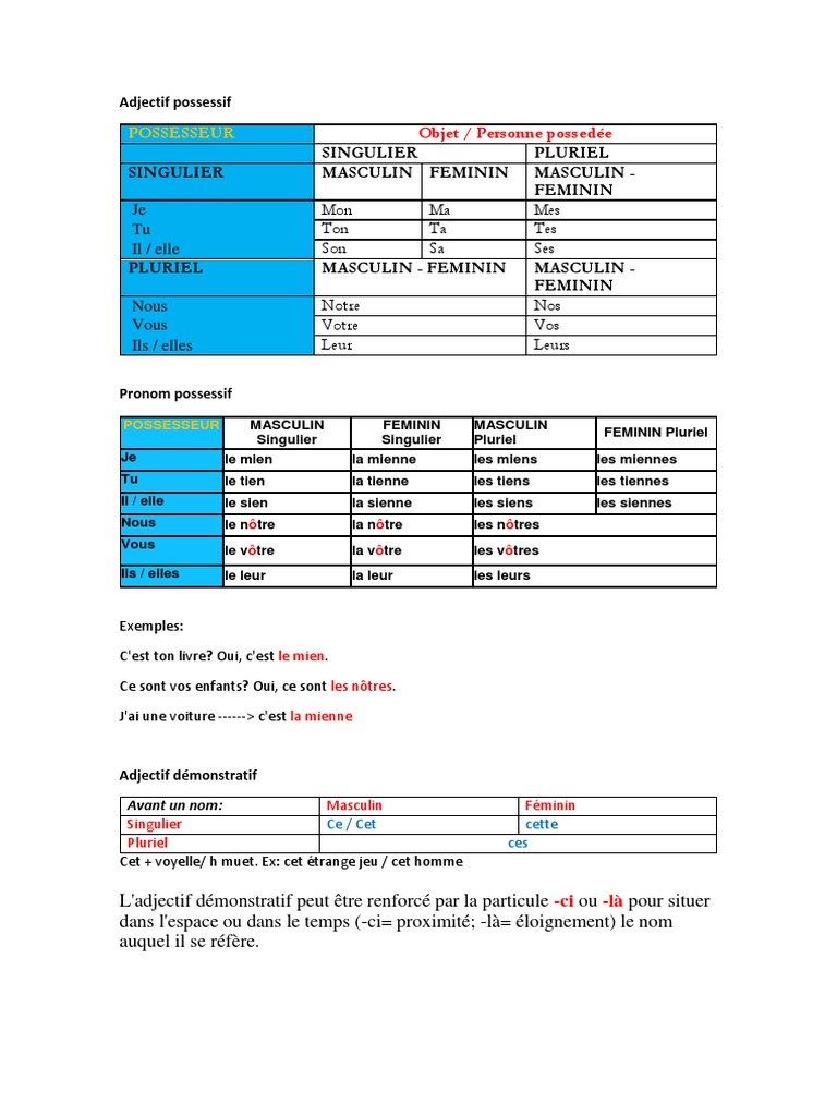 Adjectifs et pronoms possessifs/démonstratifs | PDF | Genre grammatical ...