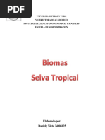 Biomas Selva Tropical | PDF | Selva | Zona tropical