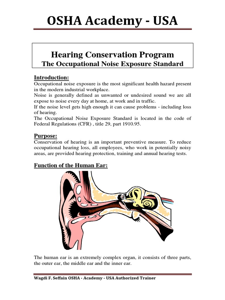 8 Osha Noise | PDF | Noise | Hearing Loss