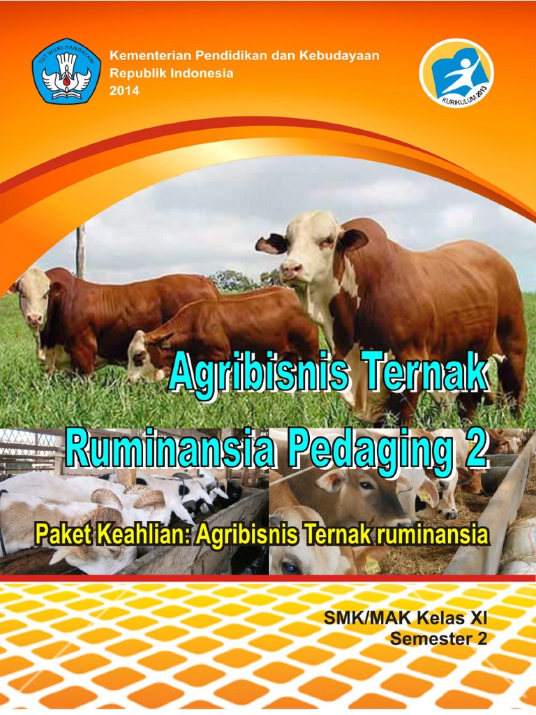 Agribisnis Ternak Ruminansia Pedaging 2 Xi 2 PDF | PDF
