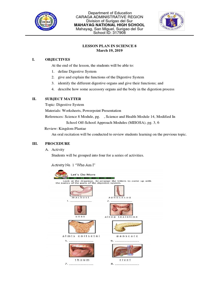 Grade 8 Digestive System Lesson Plan | PDF | Human Digestive System ...