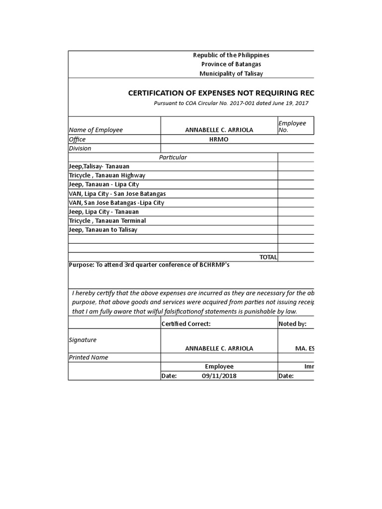 Certification of Expenses Not Requiring Receipts | PDF | Government ...