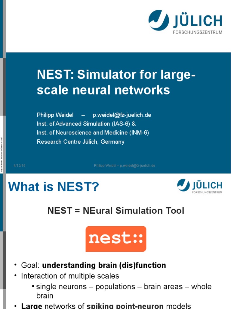 NEST: Simulator For Large-Scale Neural Networks | PDF | Simulation | Brain
