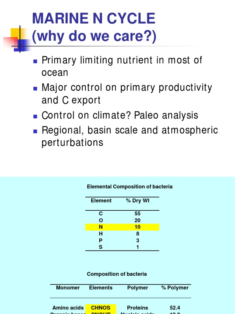 Ciclo Marino Bisc419-Ncycle 2002 | PDF | Environmental Science | Chemistry