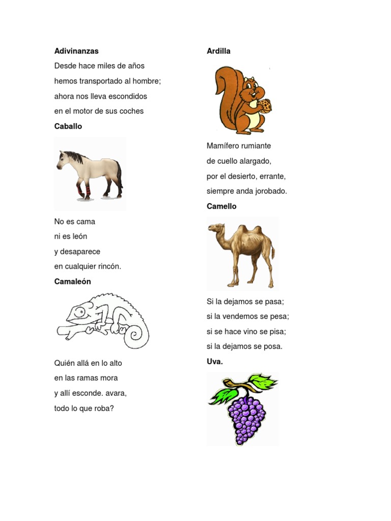 Adivinanzas Ilustradas | PDF