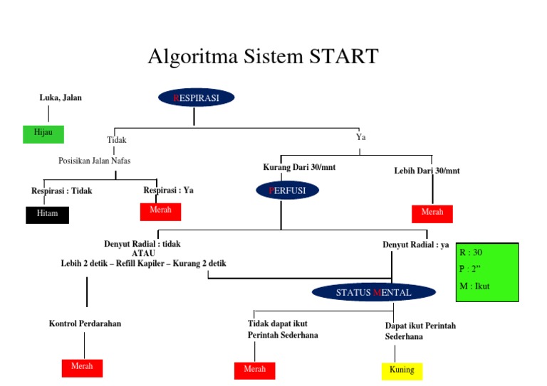 Algoritma START dalam Triase Bencana | PDF