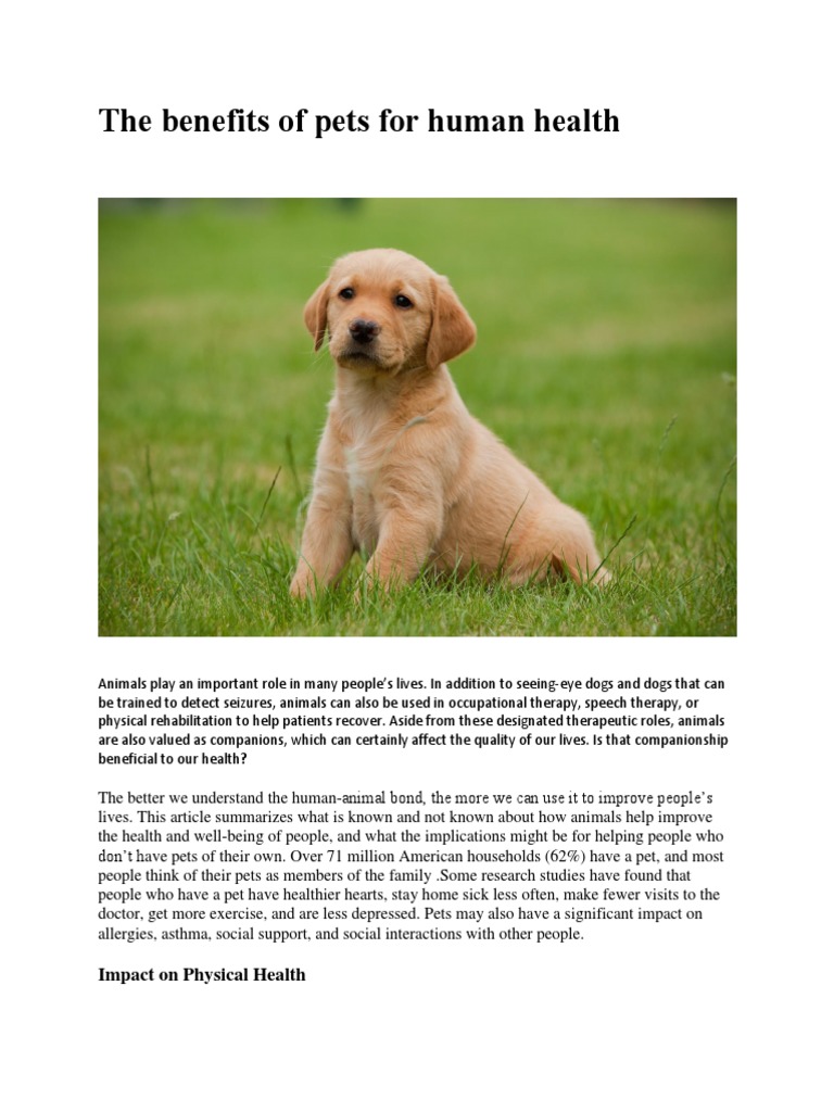 The Health Benefits of Pets: Companionship Improves Physical and ...