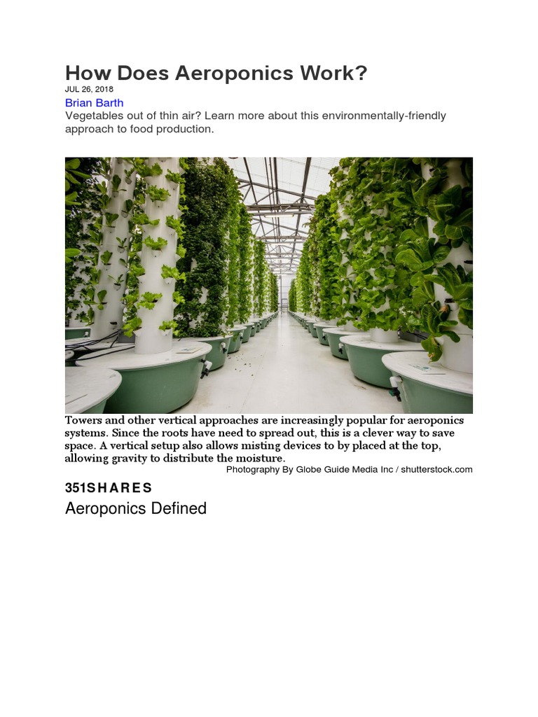 How Does Aeroponics Work | PDF | Hydroponics | Land Management