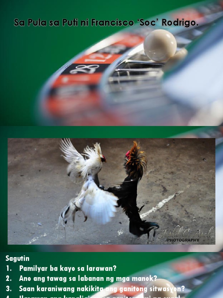 Aralin-5-DULA-Sa Pula Sa Puti | PDF