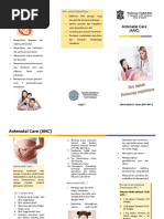 HKI Leaflet ANC Terpadu - 2023 | PDF