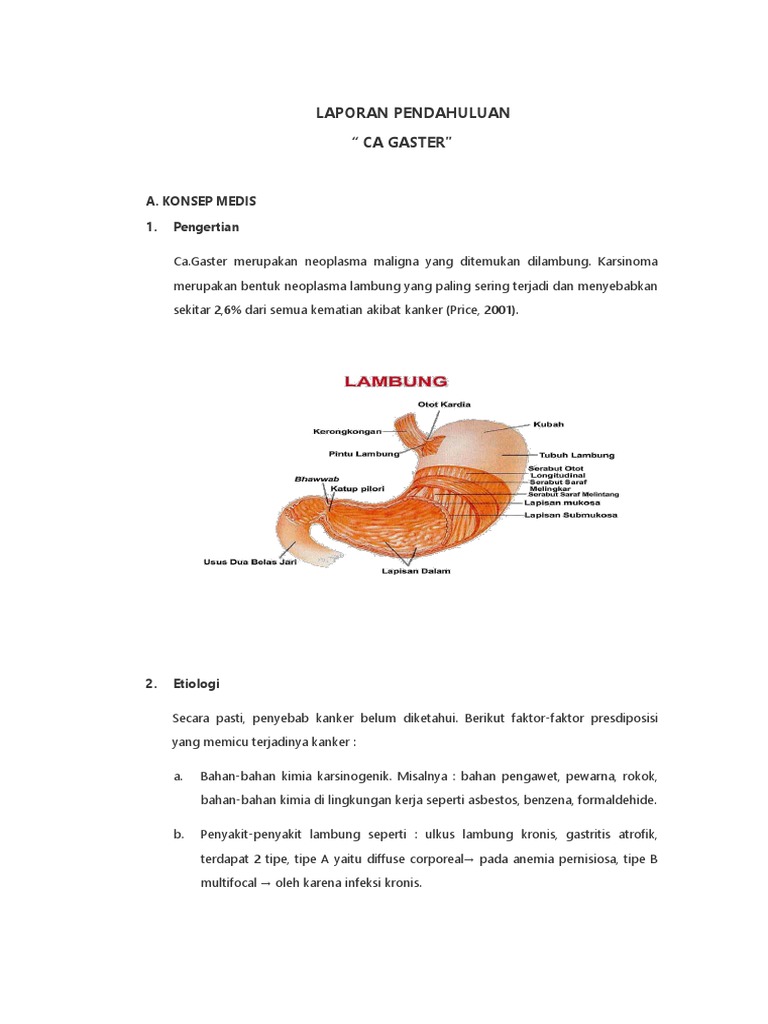 LP Gaster | PDF