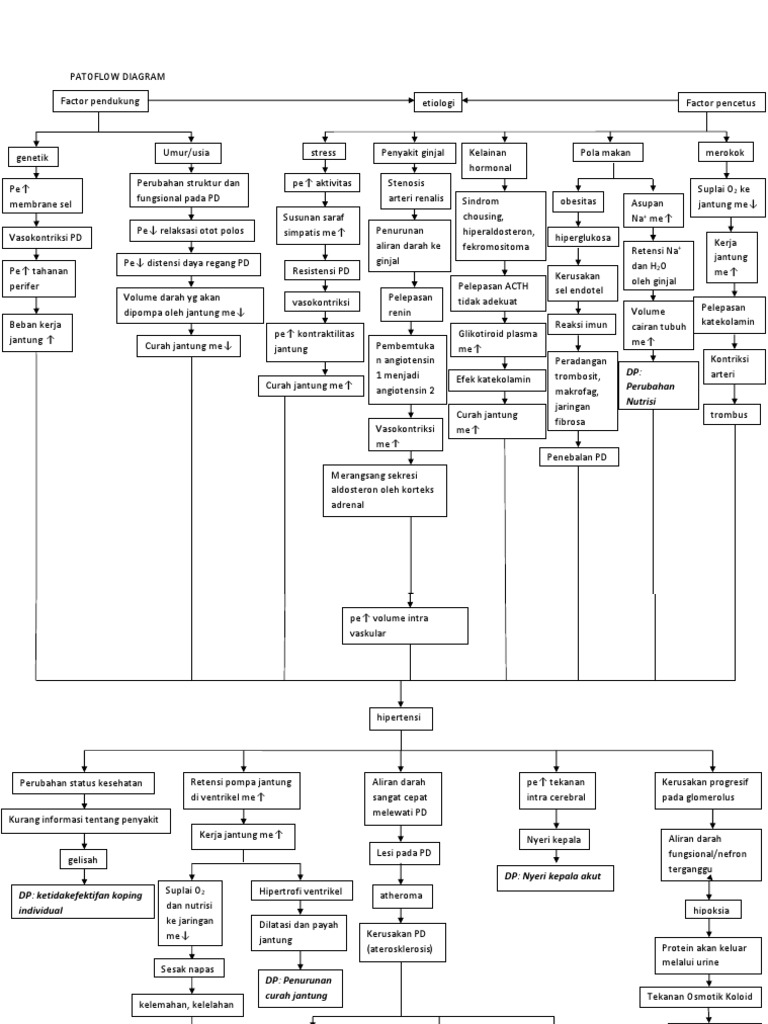 Patoflow Hipertensi dan Komplikasinya | PDF