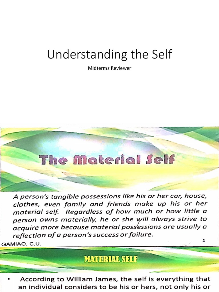 Understanding The Self | PDF