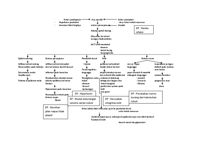 Pathway Morbili | PDF