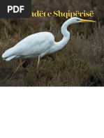 Bimet Dhe Kafshët Endemike | PDF