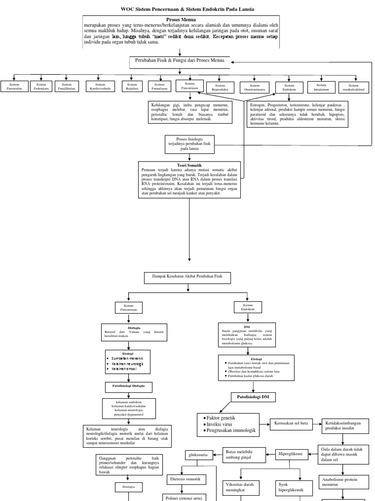 WOC Sistem Pencernaan | PDF