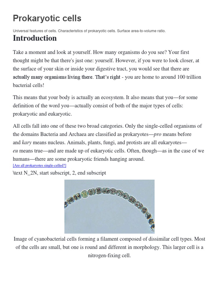 Prokaryotic | PDF | Cell (Biology) | Prokaryote