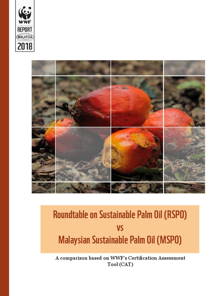 Rspo Vs Mspo Report 2018 | PDF | Environmental Impact Assessment ...