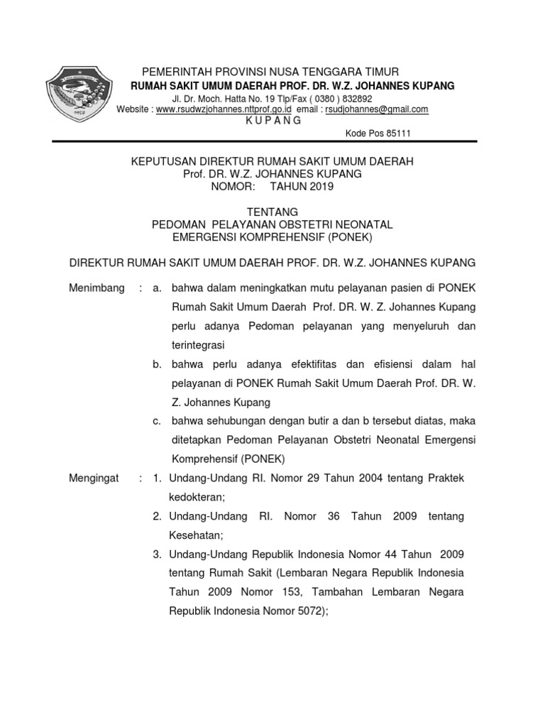 SK Pedoman Pelayanan Ponek 2019 | PDF