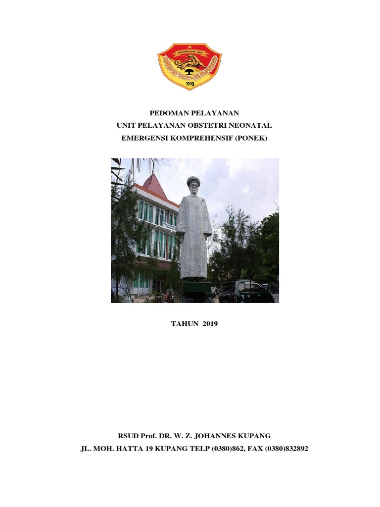 Pedoman Ponek 2019: Standar dan Kebijakan | PDF