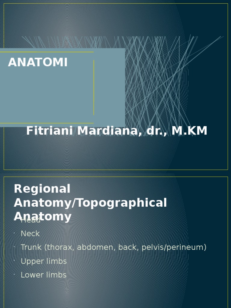 Anatomi Regional | PDF