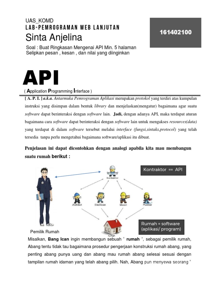 API Application Programming Interface | PDF