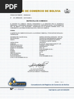 Formulario Avc 01 | PDF