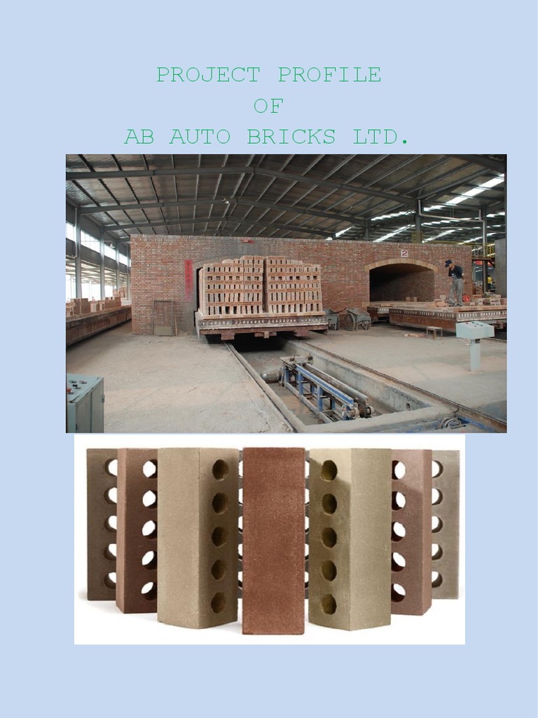 AB Auto Bricks Ltd. Project Profile | PDF