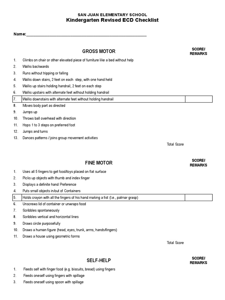 New ECD Checklist-Individual | PDF | Sibling | Hand