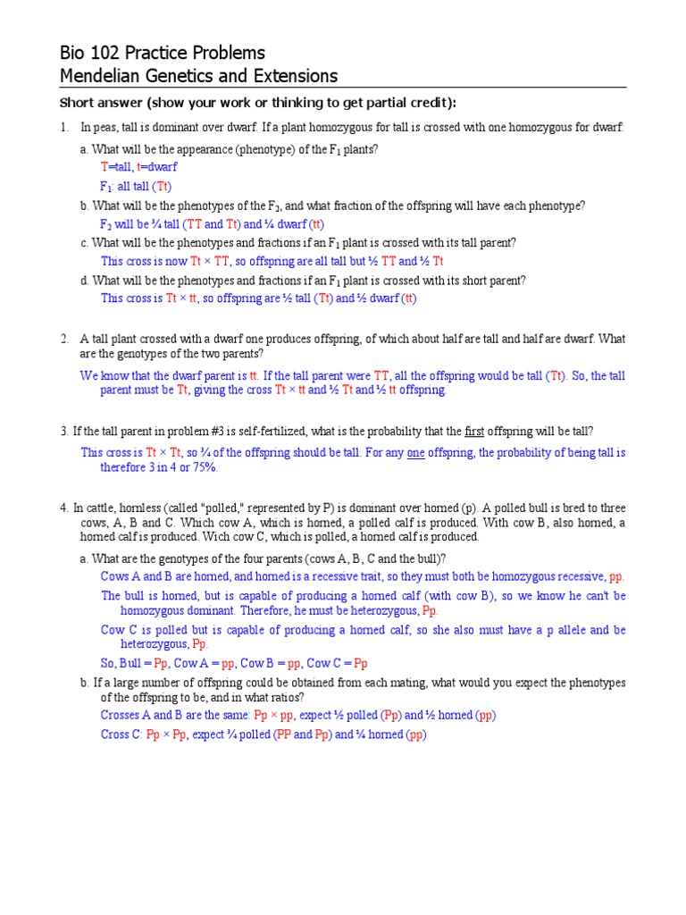 Bio 102 Practice Problems Mendelian Genetics And Extensions T T Tt 3422