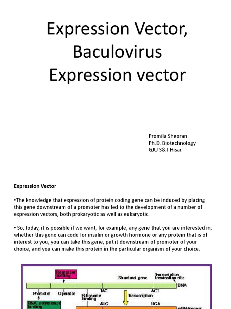 Expression Vectors for Biotech Experts | PDF | Vector (Molecular ...
