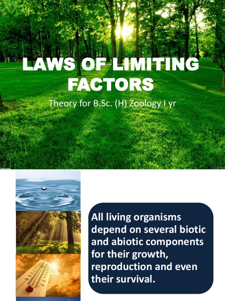 Limiting Factors: Liebig vs. Shelford | PDF | Egg | Steady State