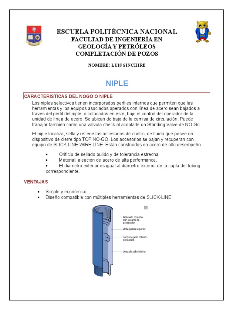 NIPLE | PDF | Tubería (transporte de fluidos) | Acero