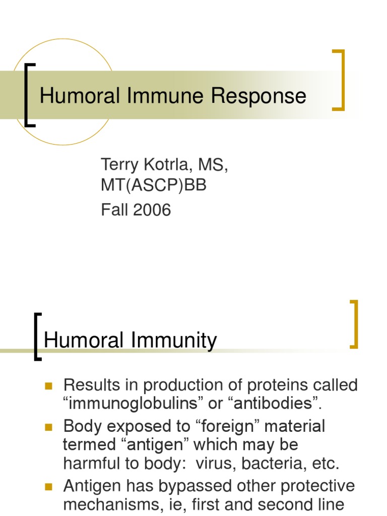 Overview of Humoral Immune Response | PDF | Immunoglobulin G | Antibody