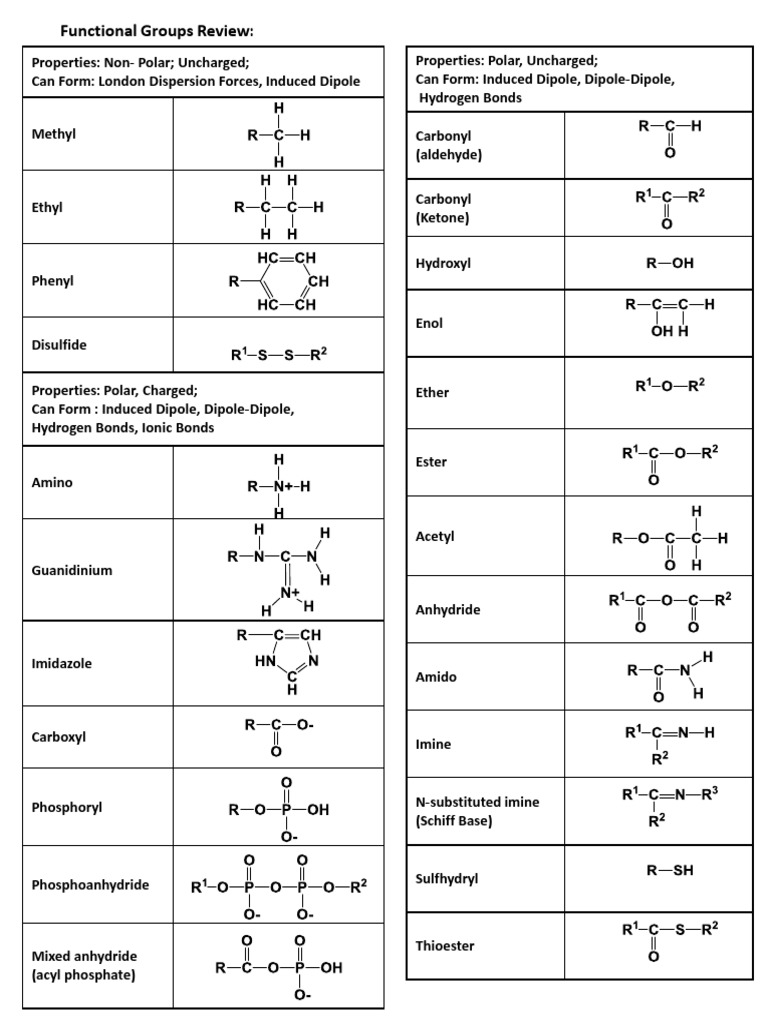 Functional Groups Review: Properties and Interactions | PDF
