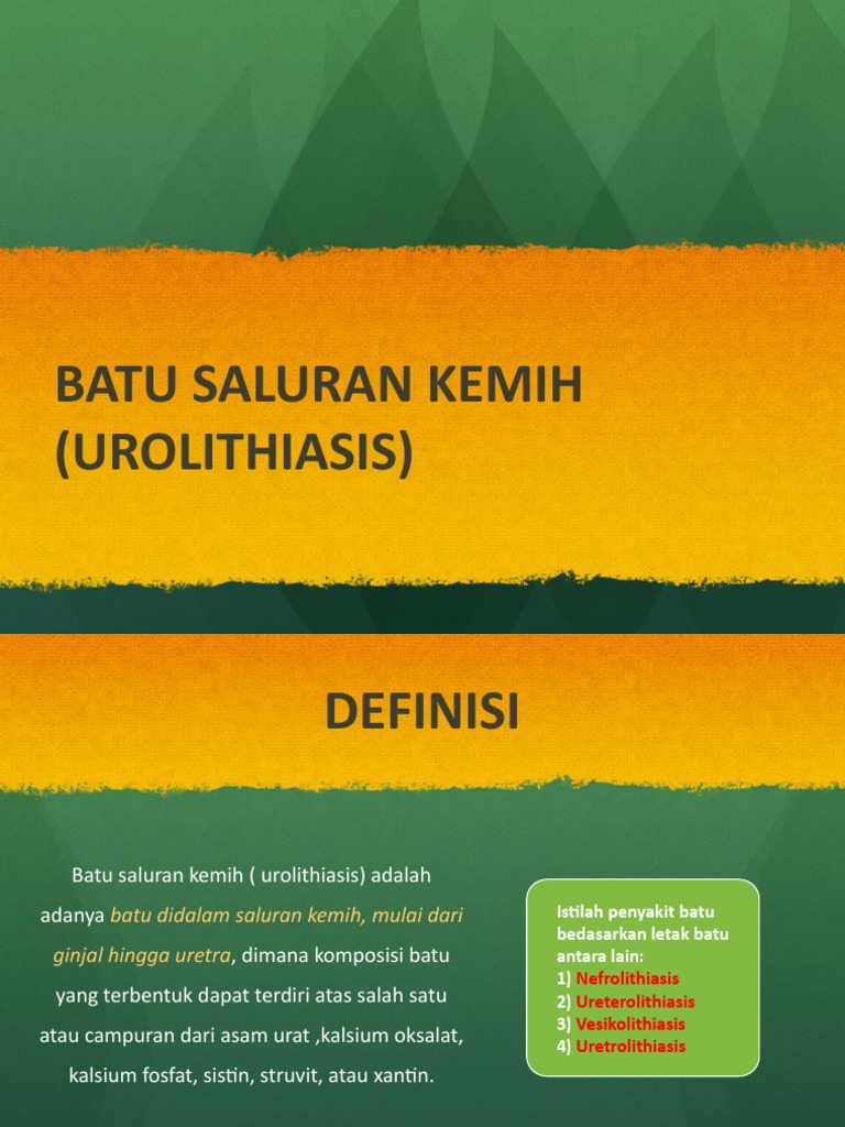 Batu Saluran Kemih: Penyebab dan Penanganan | PDF