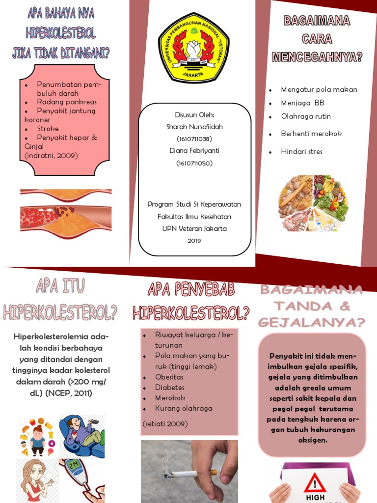 Leaflet Kolesterol | PDF