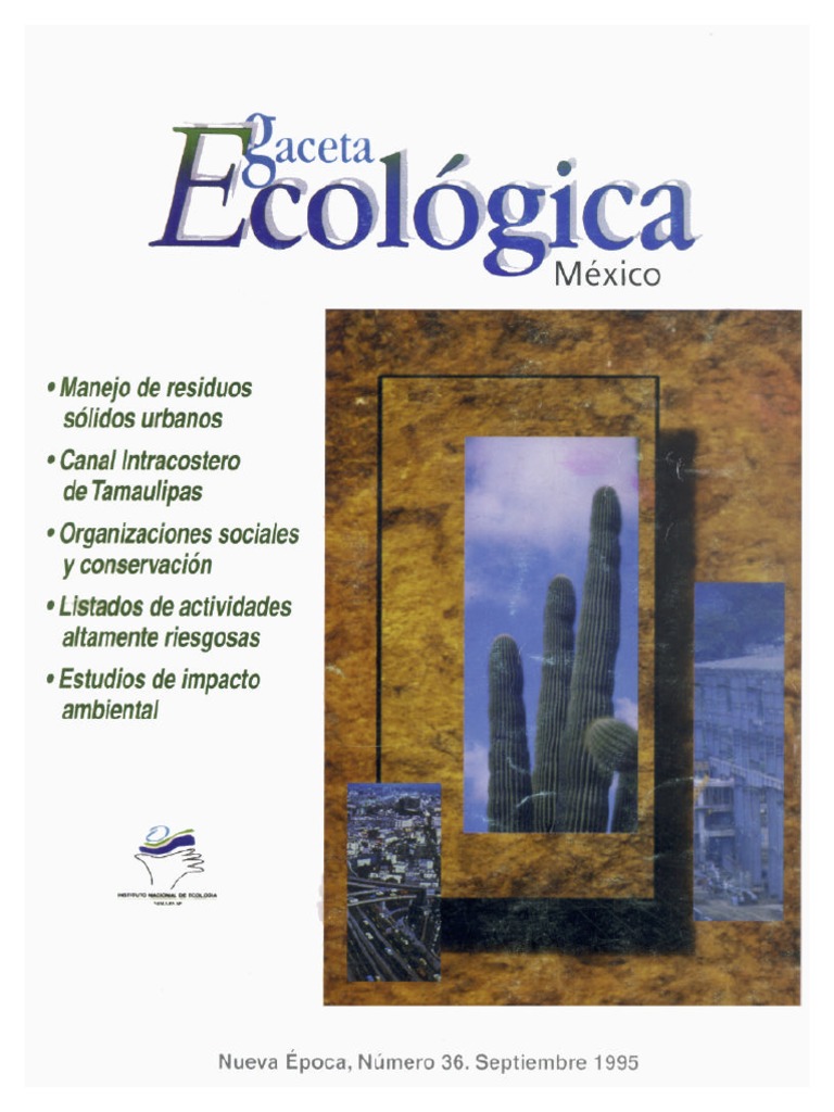 Las Manifestaciones de Impacto Ambiental. Un Análisis Crítico. | PDF ...