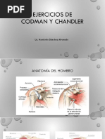 Ejercicios de Codman para el Hombro | PDF | Salud y bienestar | Ciencia y matemáticas