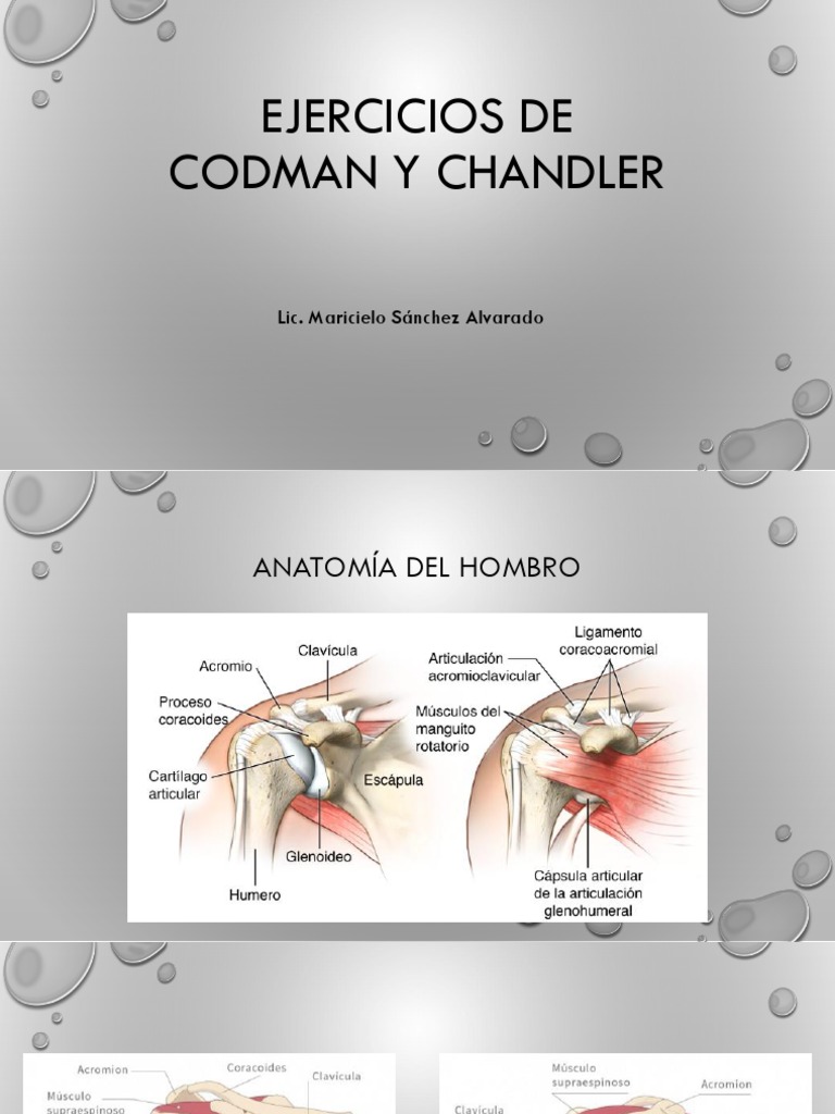 Codman y Chandler | PDF | Hombro | Articulaciones