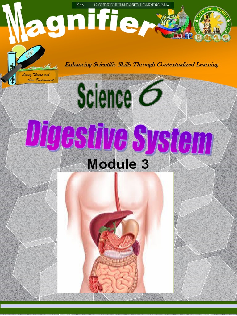 Workbook # Digestive System PDF | PDF | Digestion | Stomach