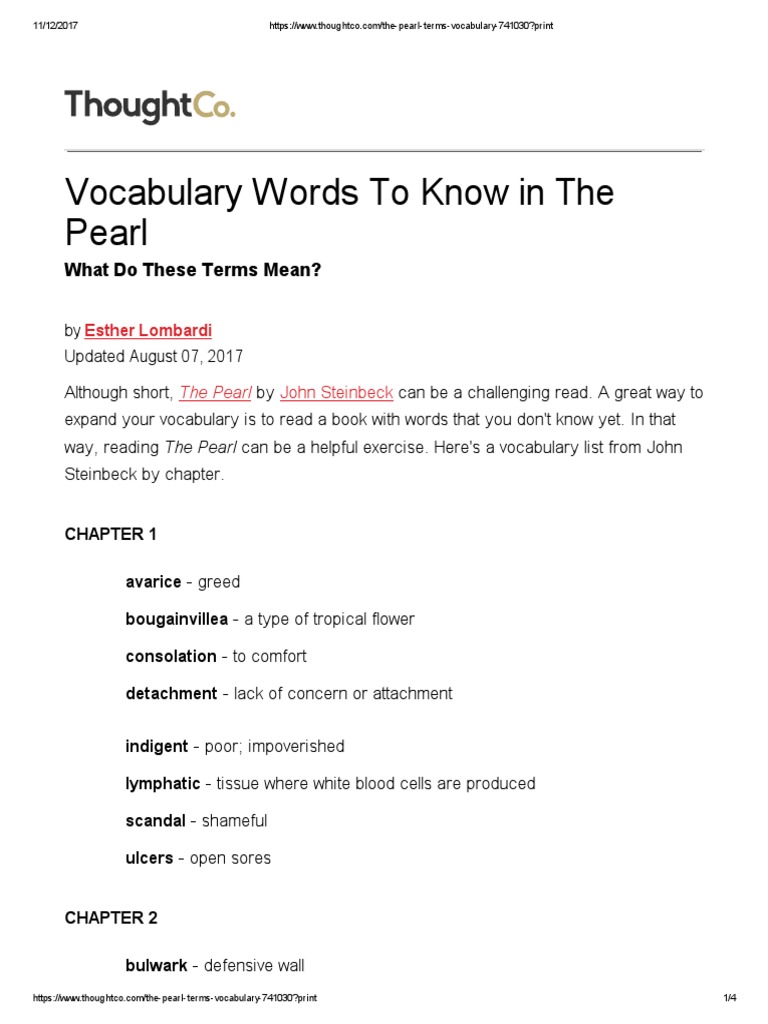 Vocabulary Words To Know in The Pearl: What Do These Terms Mean? | PDF ...