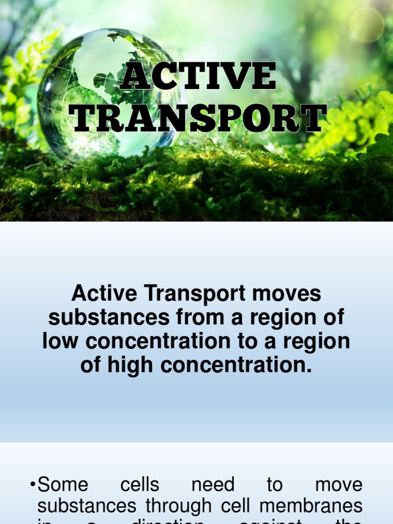 7 - Active-Bulk Transport | PDF | Cell Membrane | Anatomy
