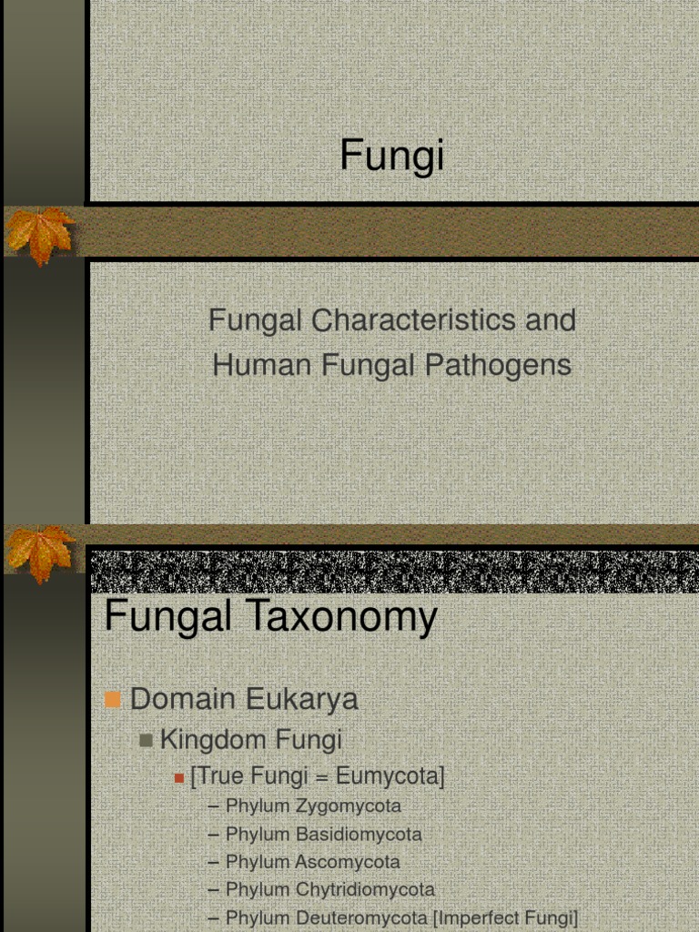 Fungal Basics and Diseases | PDF | Fungus | Yeast